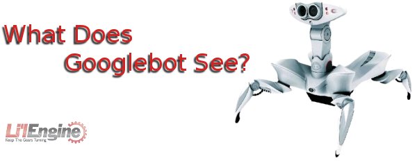 How the Googlebot Sees and Ranks Different File Formats « Web Moves Blog